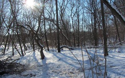e-winter - Natural Path Sanctuary