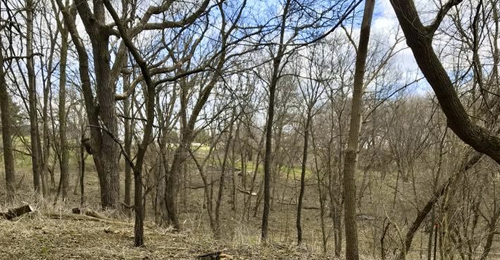 e-nps-verona - Natural Path Sanctuary
